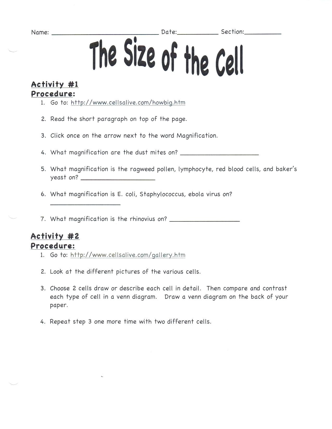 Cells Alive Worksheet Answer Key Worksheet For Education Cells Alive Worksheet Answer Key Worksheet For Education